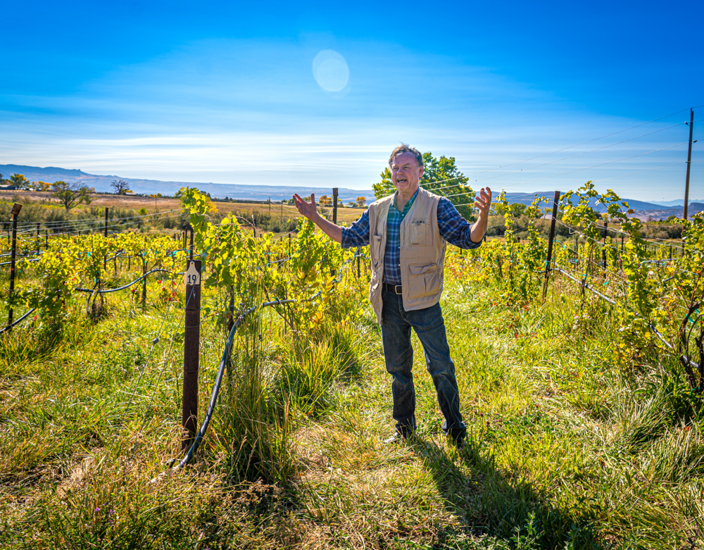 Jack Rabbit Hill Farms: The Next Level In Organic Wines – The TravelClast